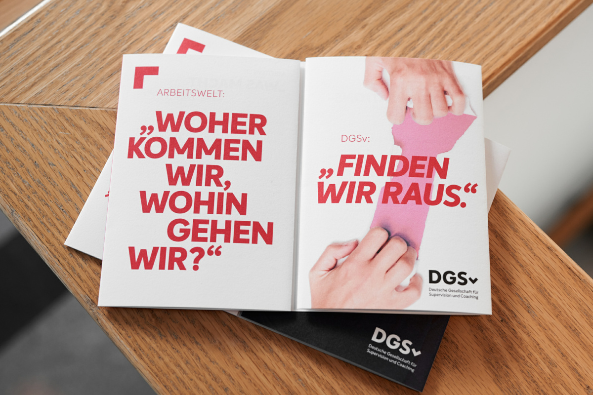 DGSv Imageflyer | DGSv